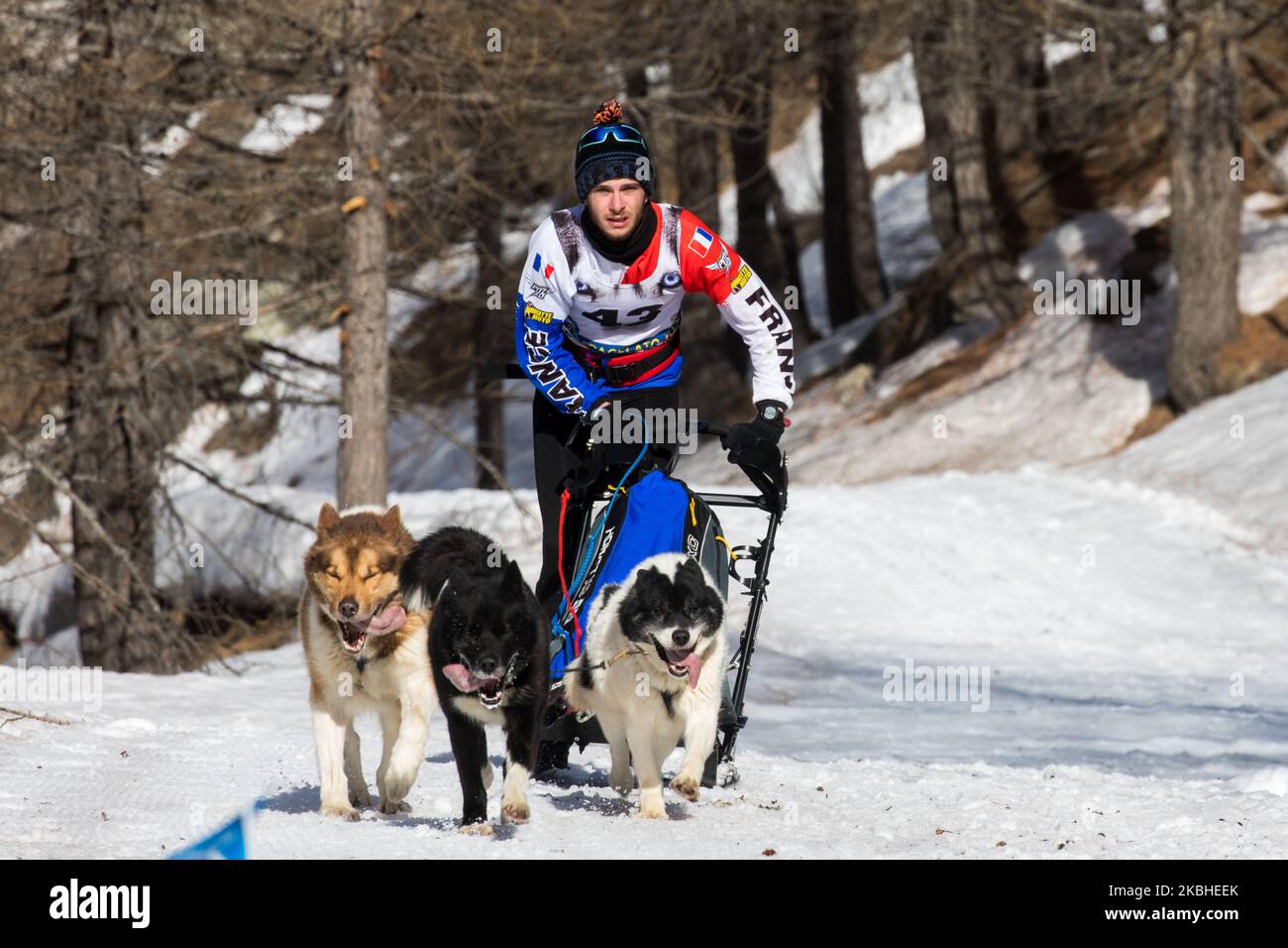 Pragelato, Italy. The Pragelato cross-country track hosted the European ...