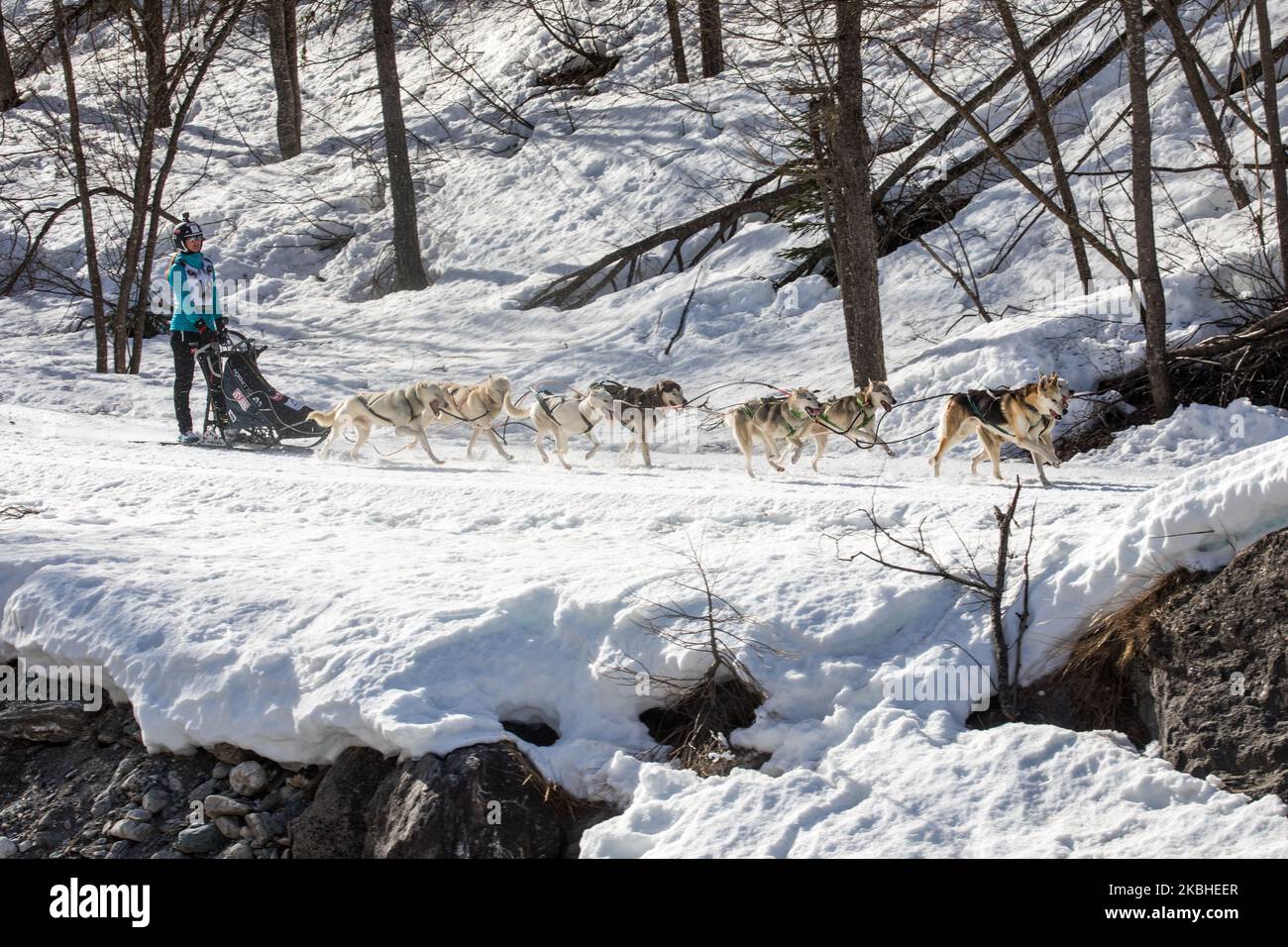 Pragelato, Italy. The Pragelato cross-country track hosted the European ...