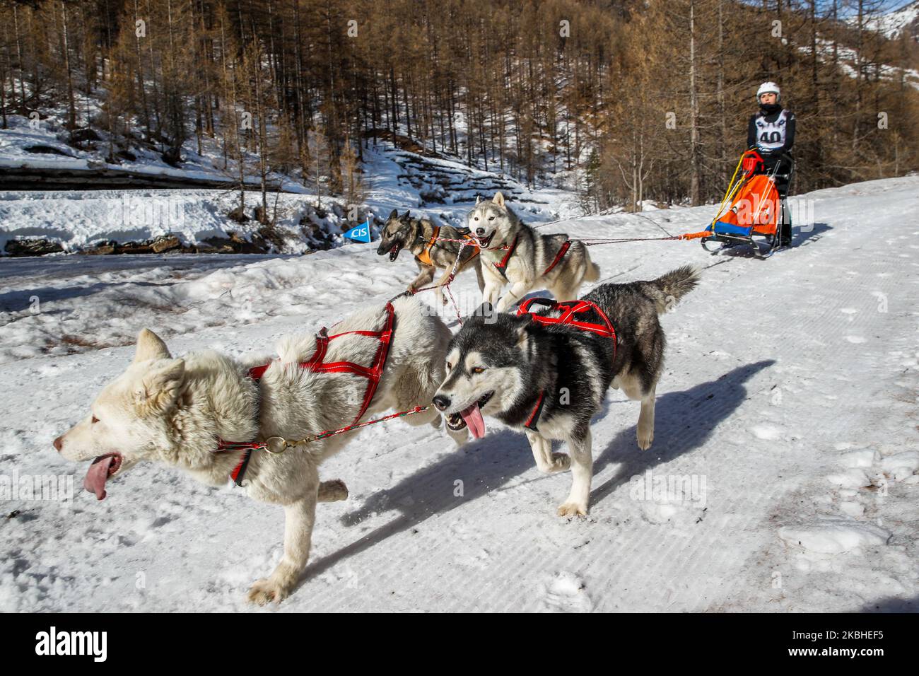 Pragelato, Italy. The Pragelato cross-country track hosted the European ...