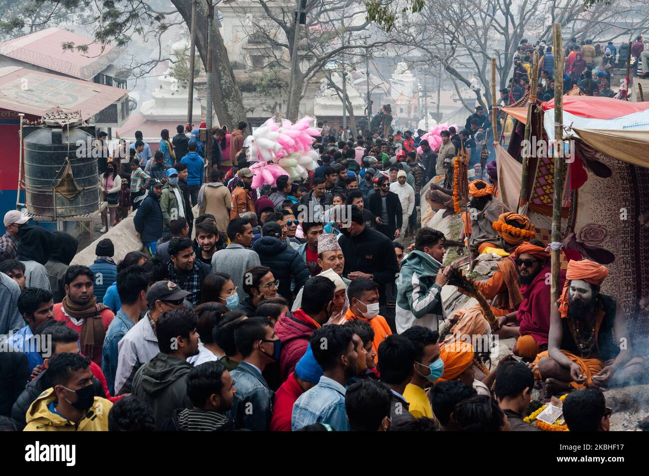 Large crowds of hindu devotees gather to receive a blessing from holy ...