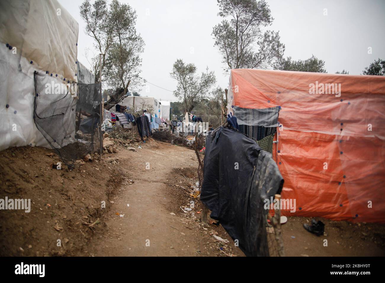 Father of the greek tragedy hi-res stock photography and images - Alamy