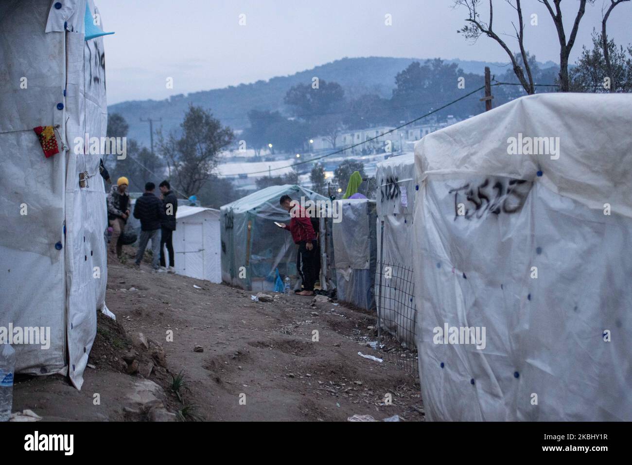 Father of the greek tragedy hi-res stock photography and images - Alamy