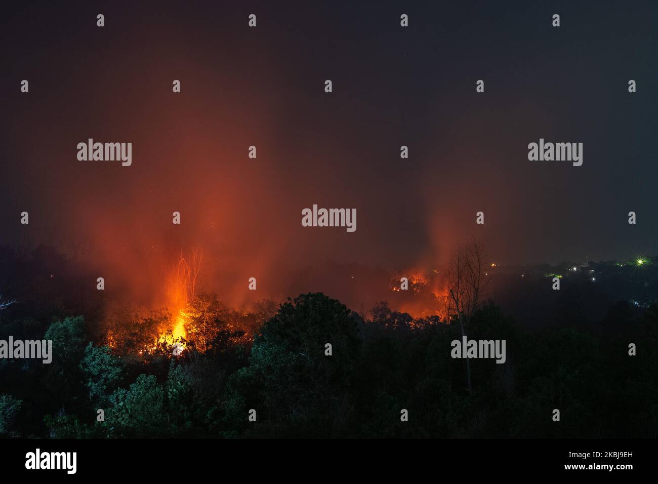 A long-exposure photograph shows a Forest fire at Rumbai Pesisir ...