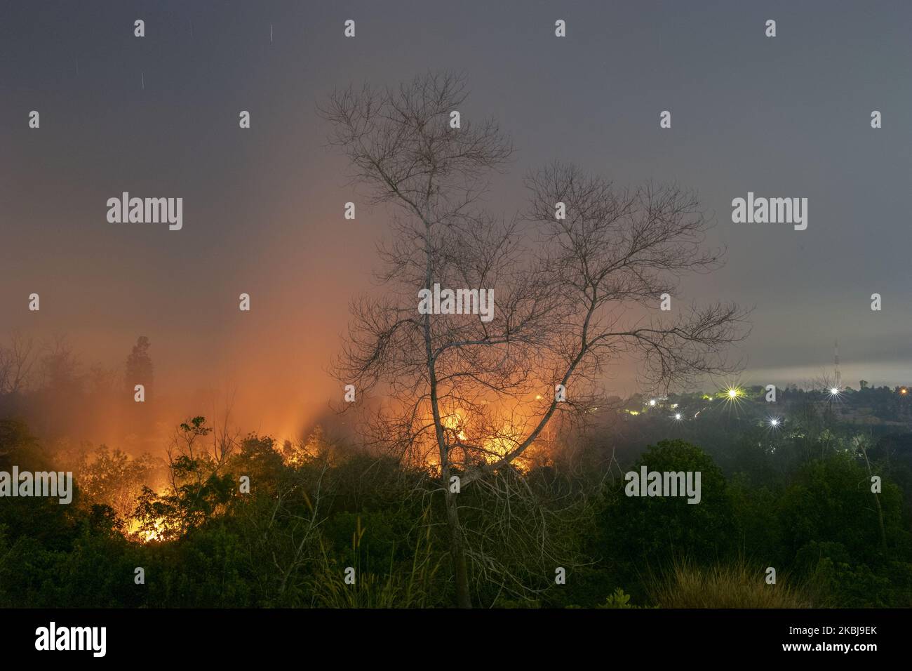 A long-exposure photograph shows a Forest fire at Rumbai Pesisir ...