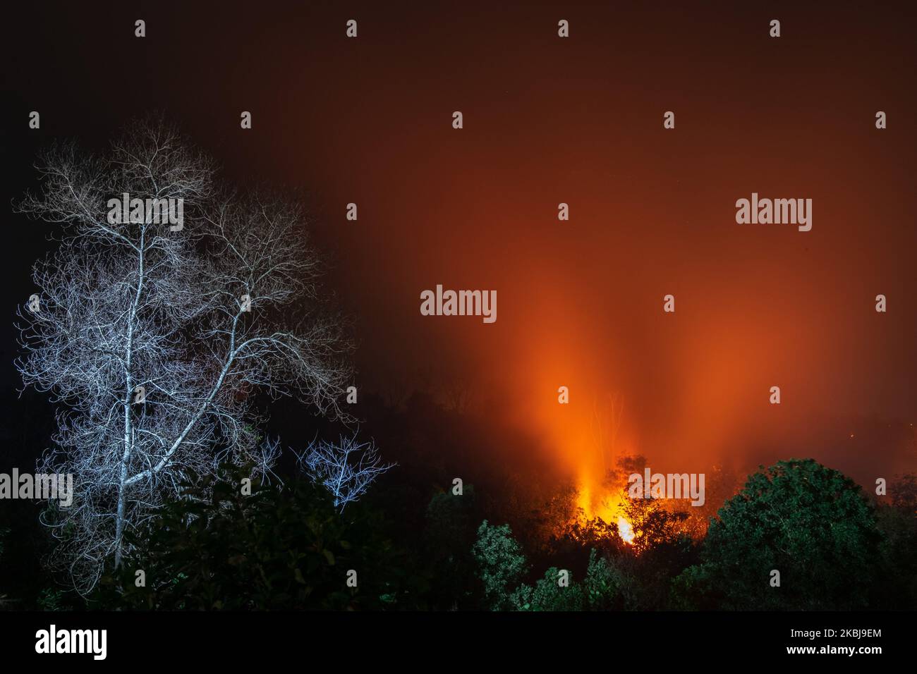 A long-exposure photograph shows a Forest fire at Rumbai Pesisir ...