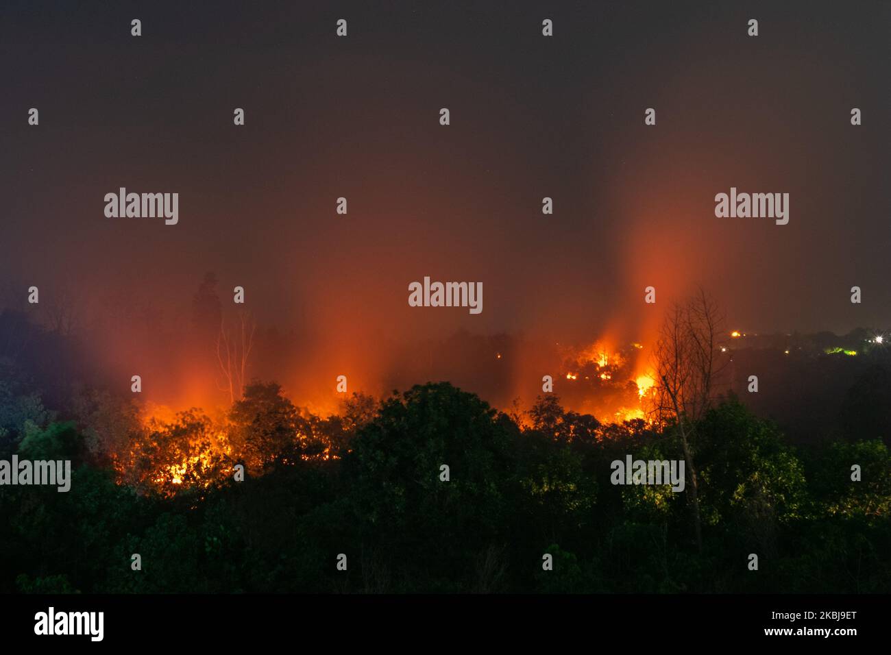 A long-exposure photograph shows a Forest fire at Rumbai Pesisir ...