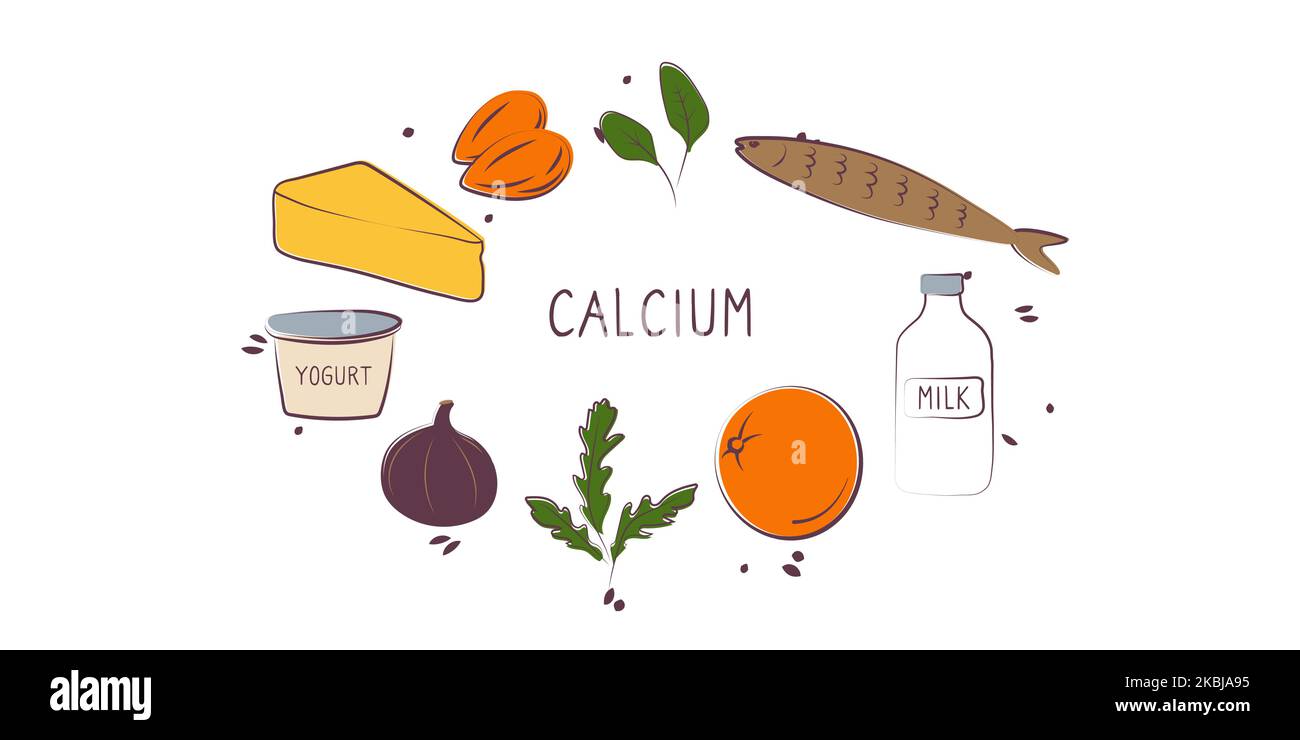 Calcium-containing food. Groups of healthy products containing vitamins ...