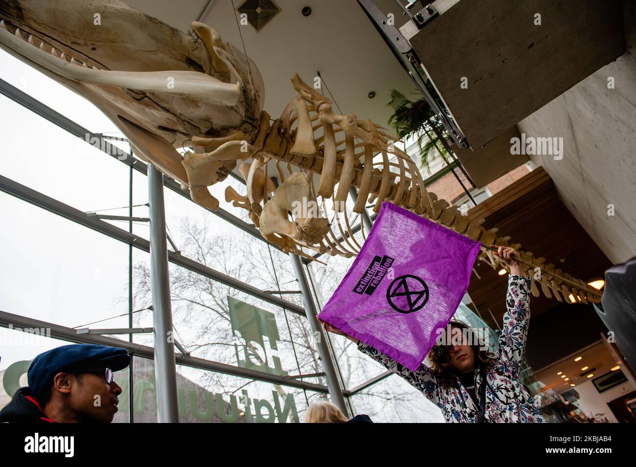 An XR activist is holding a flag of Extinction Rebellion in under a big ...