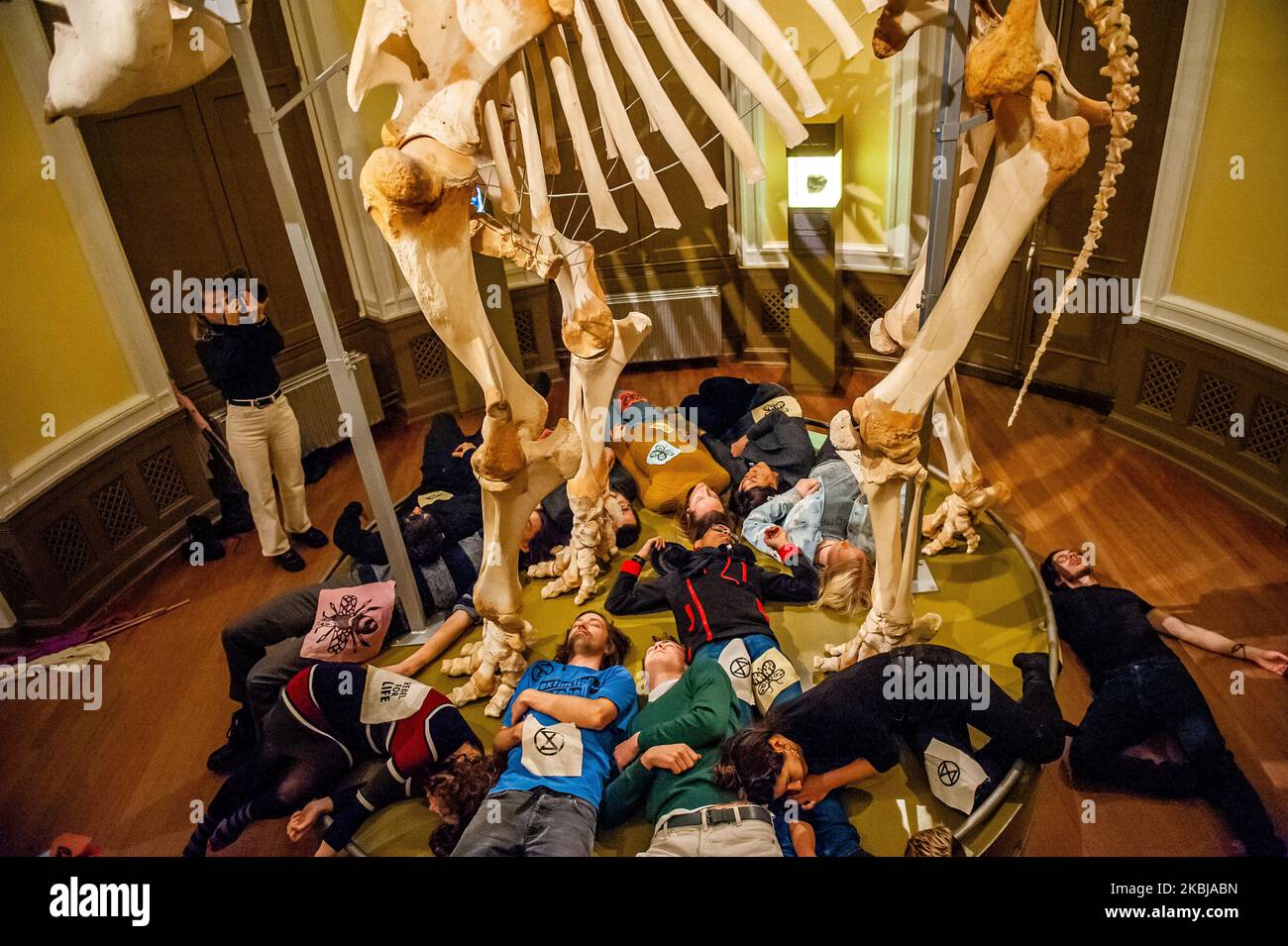 A group of XR activists are performing a Die In action around a big ...