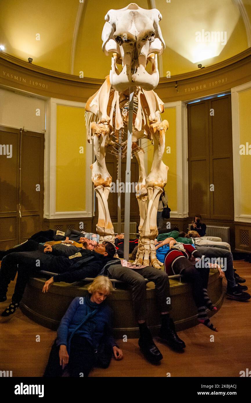 A group of XR activists are performing a Die In action around a big ...