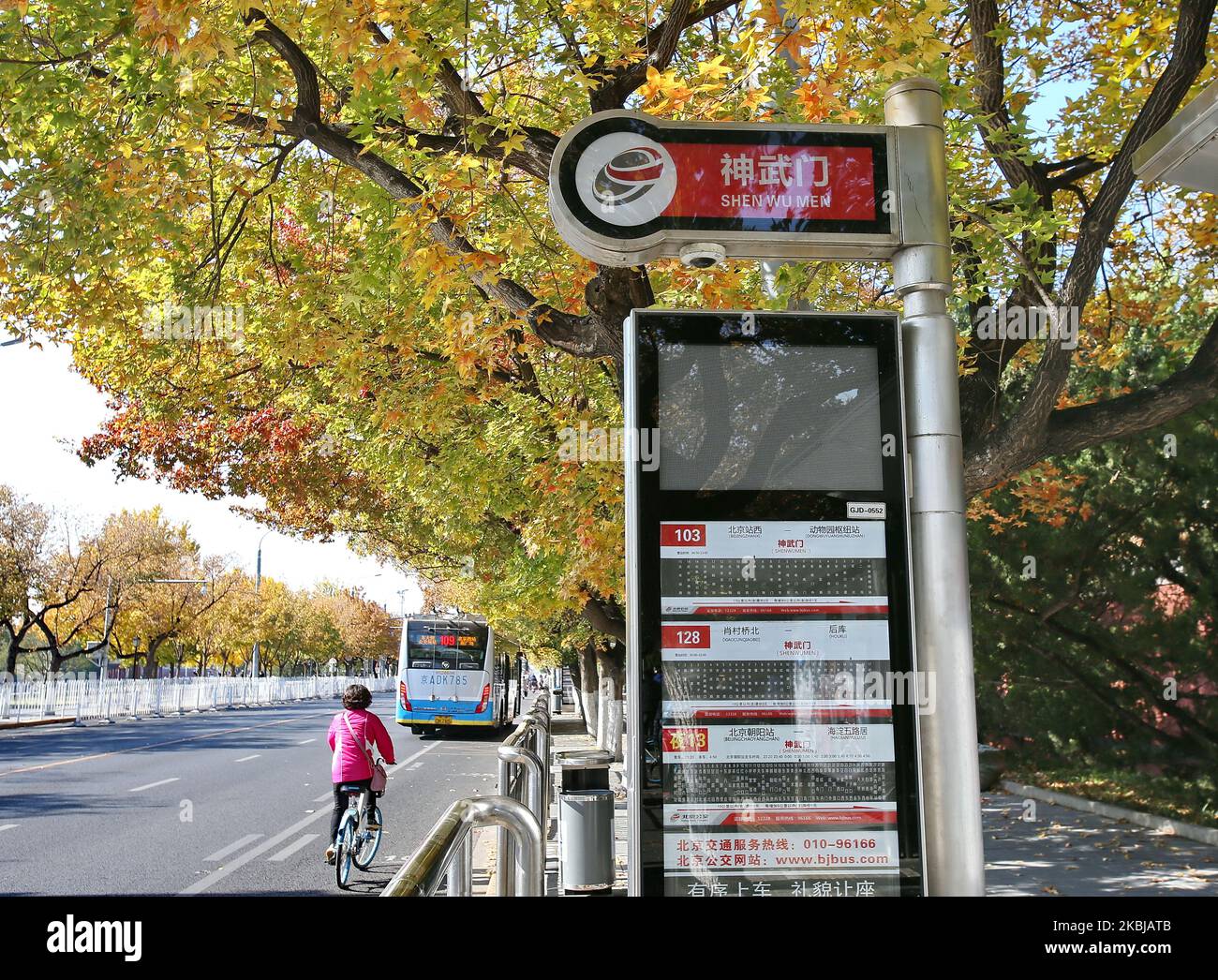 More than ten tall maple trees are as colorful as oil paintings, making ...