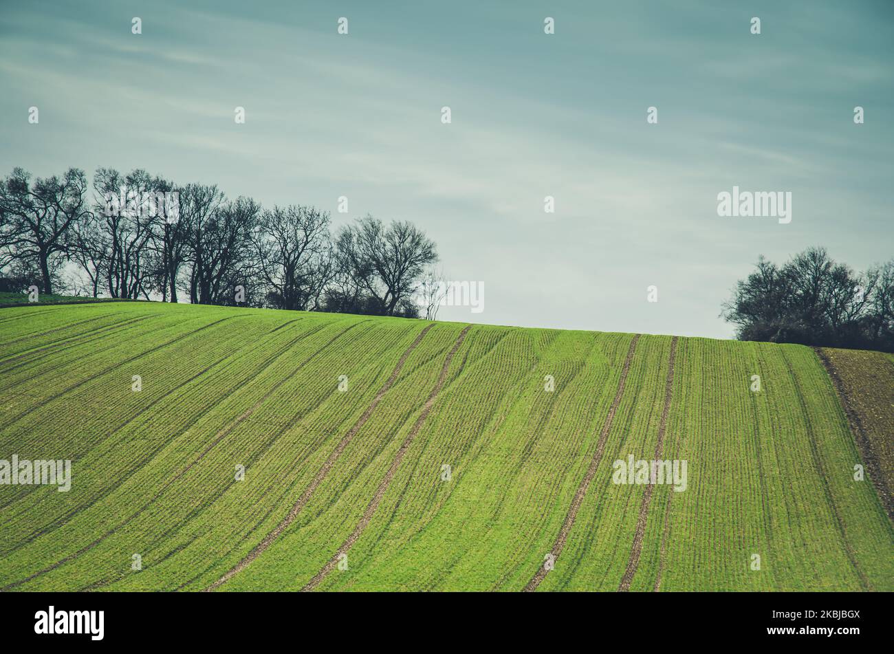 green spring scenic field countryside Stock Photo - Alamy