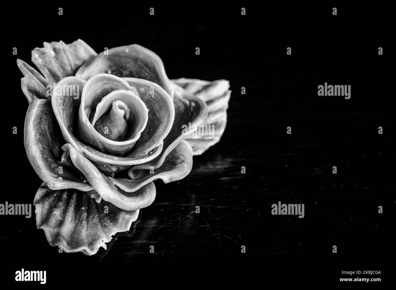 beautiful rose against black background Stock Photo - Alamy