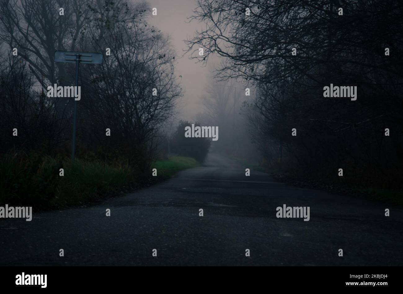 autumn path in foggy autumn weather Stock Photo - Alamy
