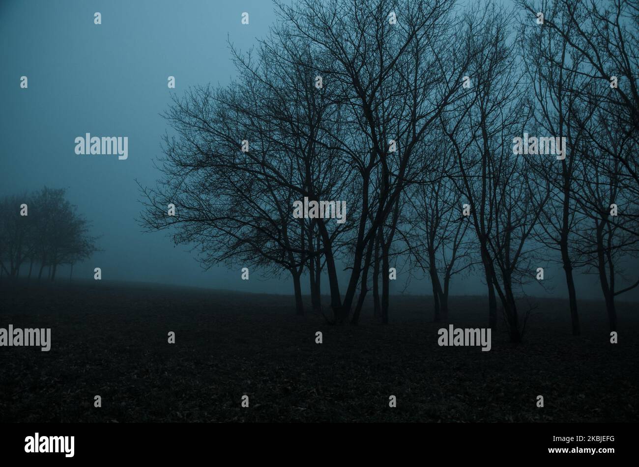 Misty condition hi-res stock photography and images - Alamy