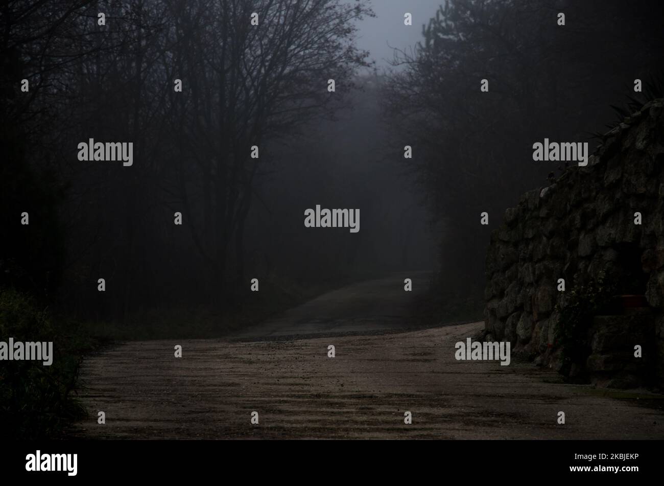 Foggy misty night road hi-res stock photography and images - Alamy
