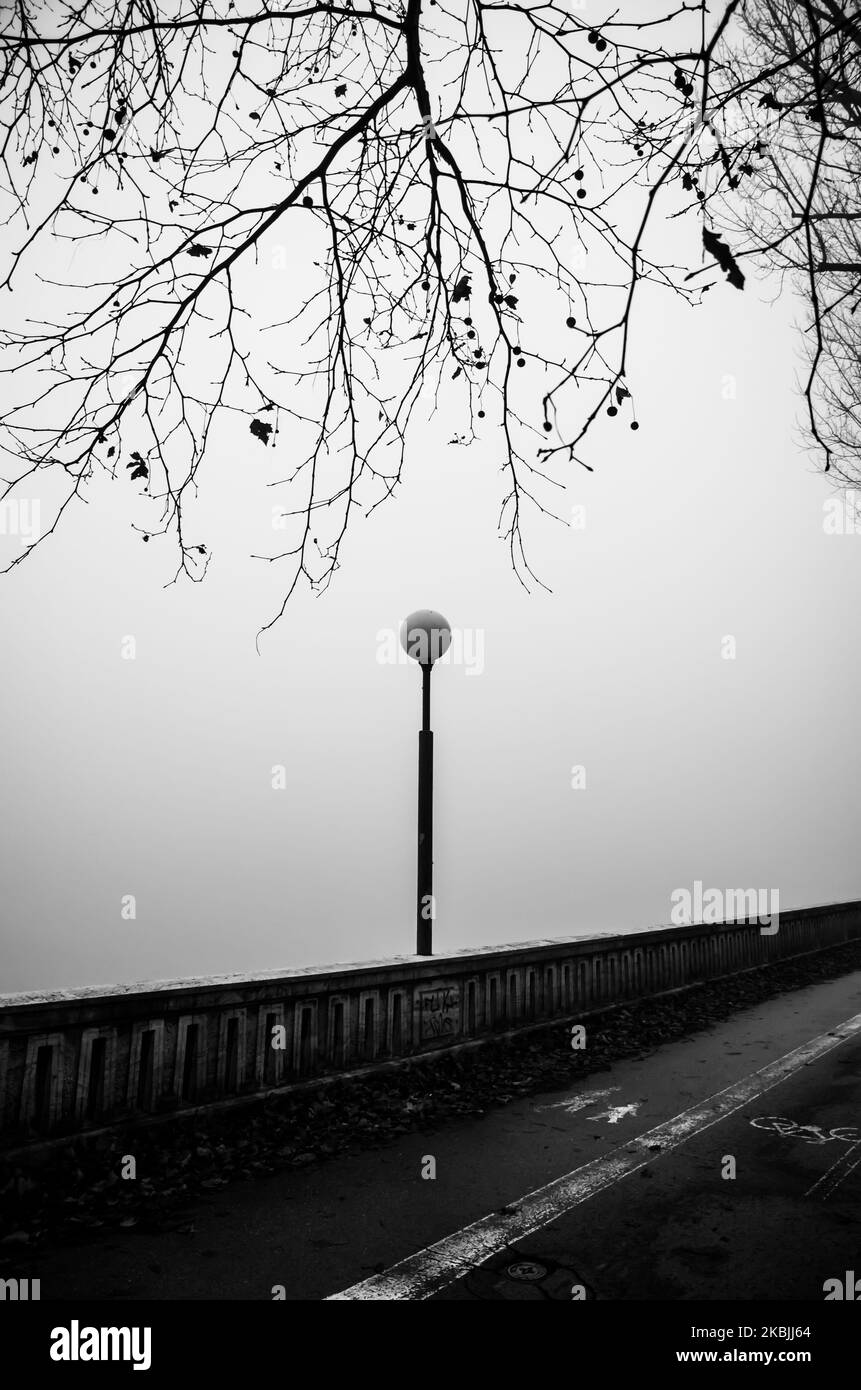 tree in foggy autumn weather and rail Stock Photo - Alamy