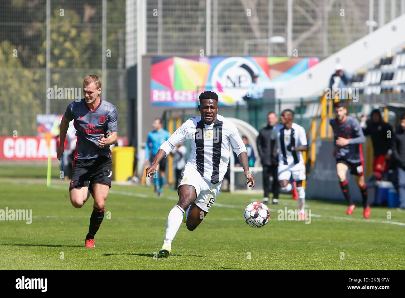 Estadio da madeira hi-res stock photography and images - Alamy