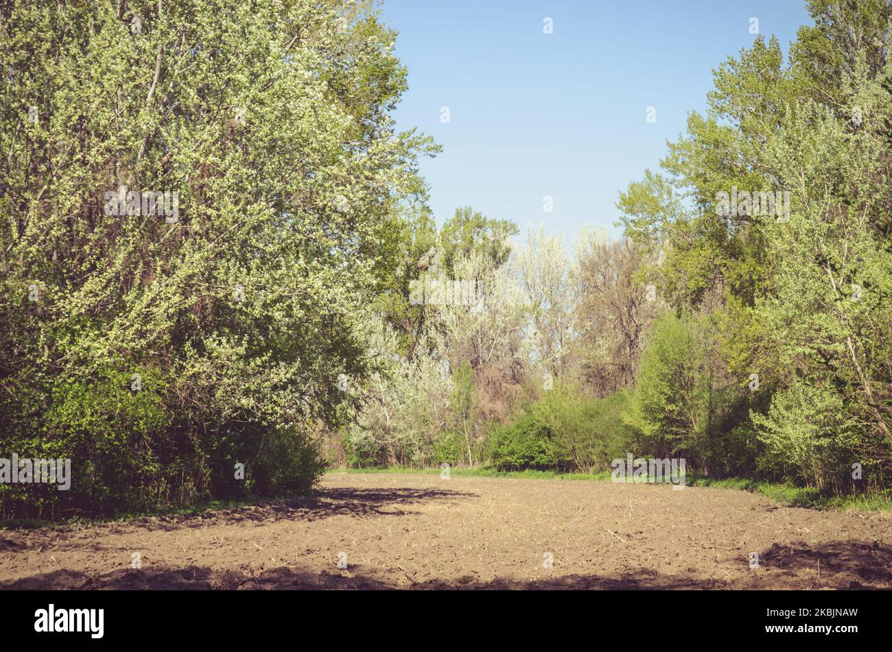 plough field and spring green tress and bushes Stock Photo - Alamy