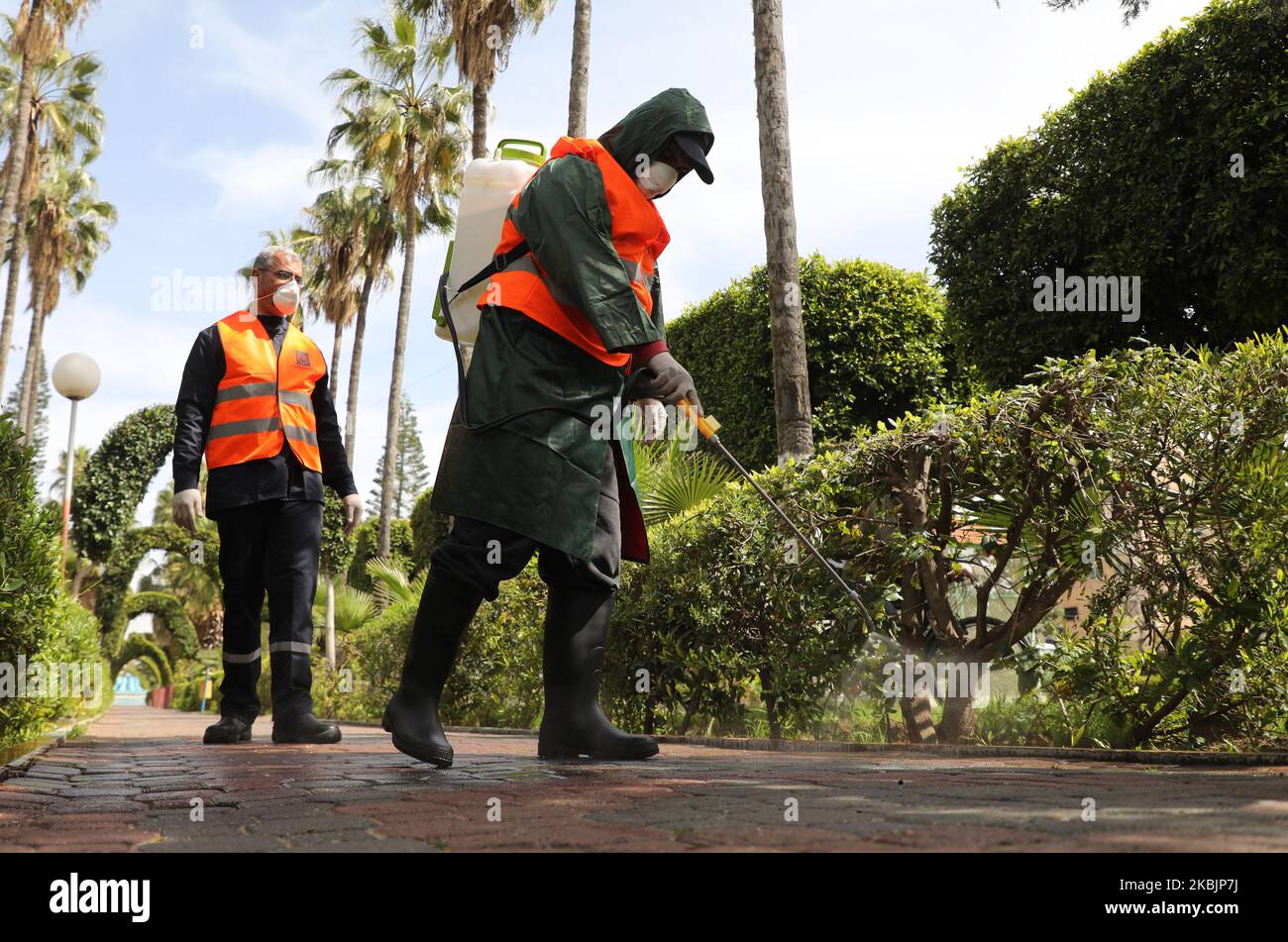 Gaza city park hi-res stock photography and images - Alamy