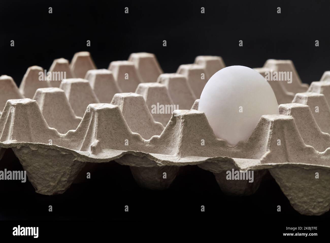 One egg in an egg carton tray on dark background Stock Photo - Alamy
