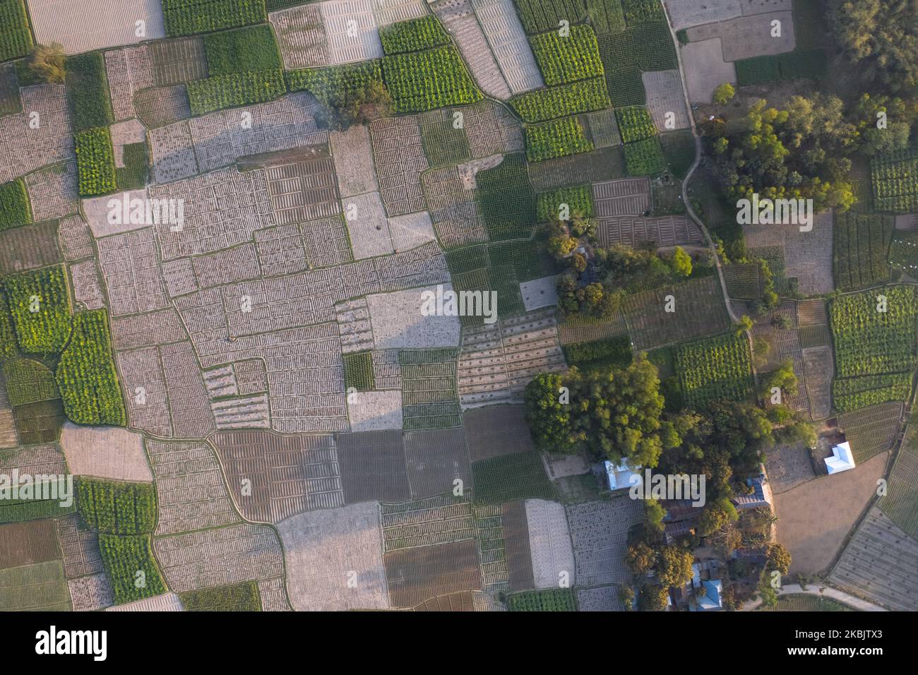 Aerial View of Newly Cultivated Vegetable Field in Bogura, Bangladesh ...