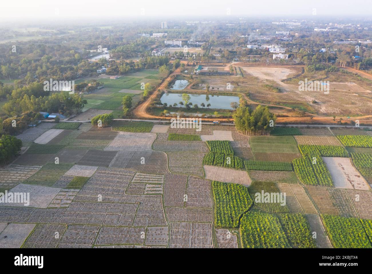 Aerial View of Newly Cultivated Vegetable Field in Bogura, Bangladesh ...