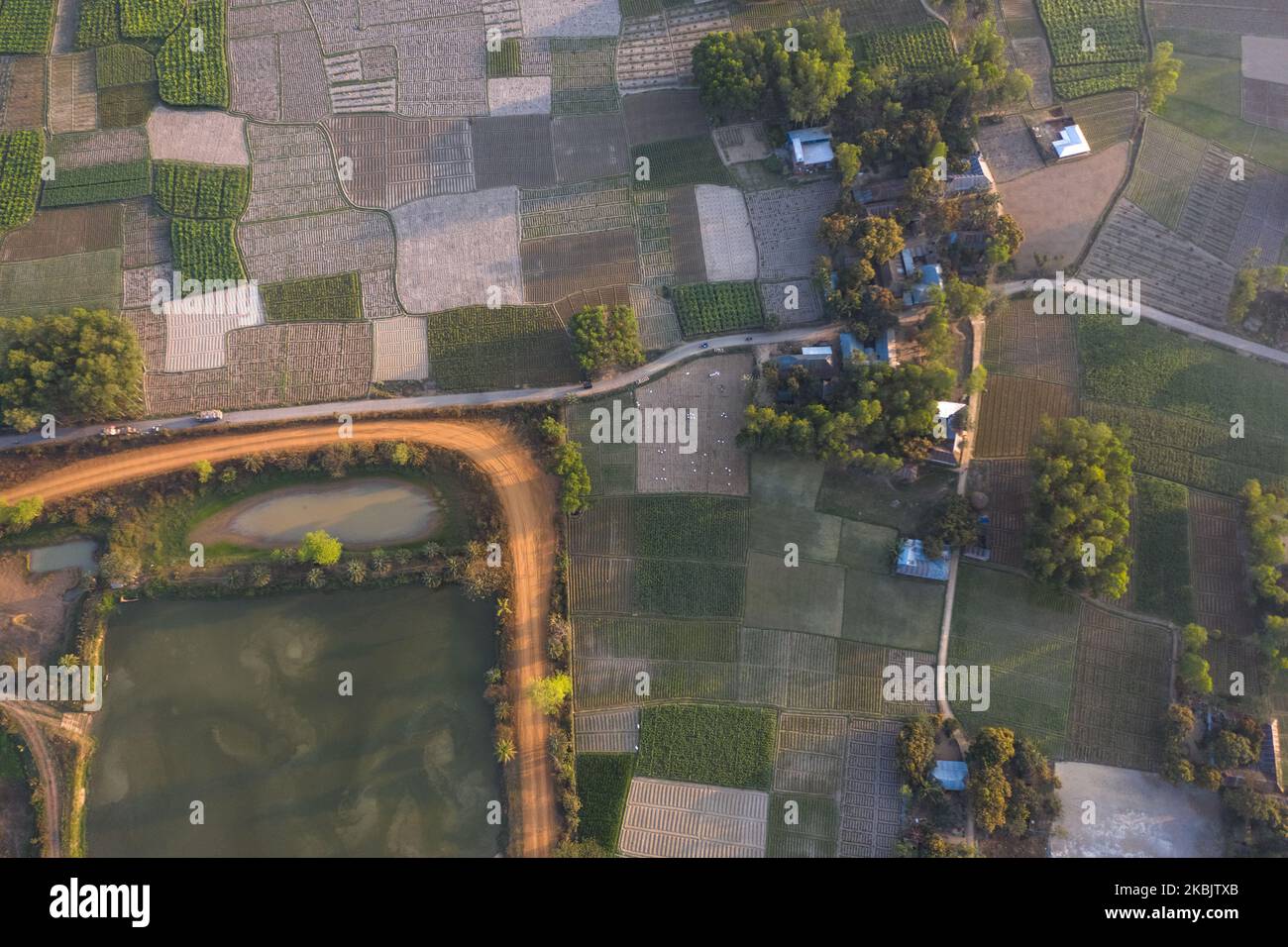 Aerial View of Newly Cultivated Vegetable Field in Bogura, Bangladesh ...