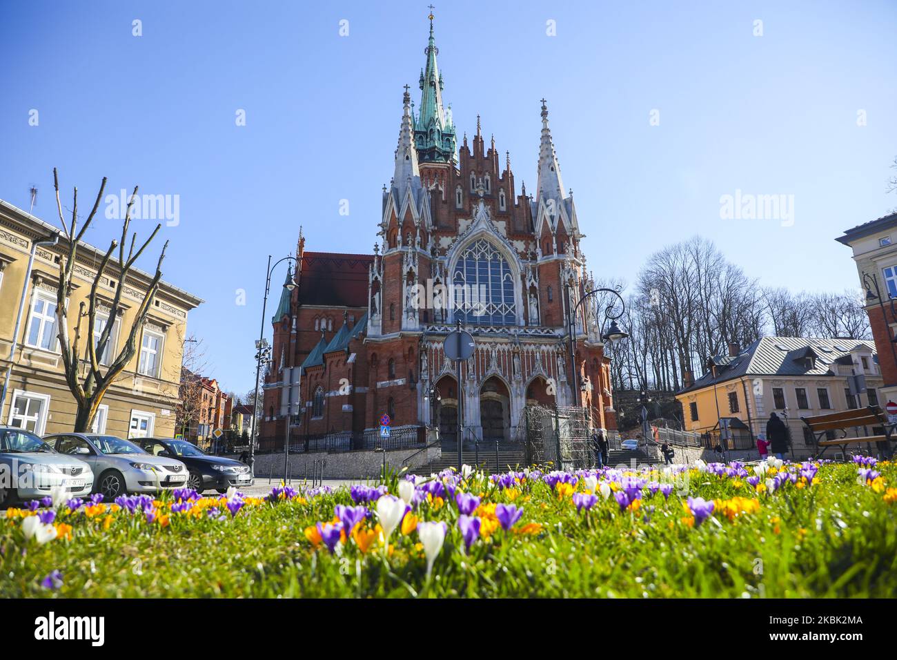 Crocus flowers are blooming at Podgorski Square in Krakow, Poland ...