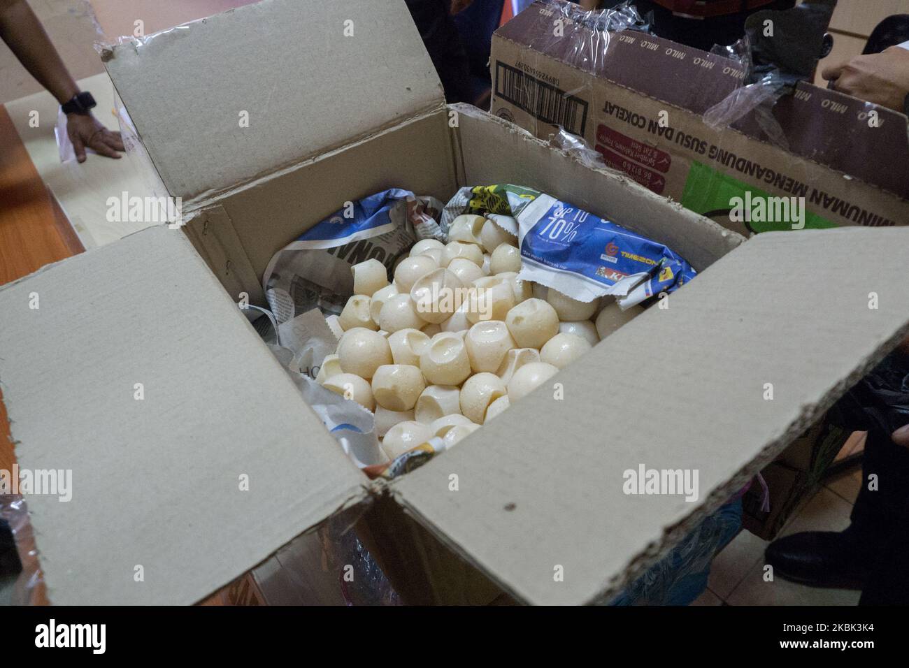 Green turtle indonesia egg hi-res stock photography and images - Alamy