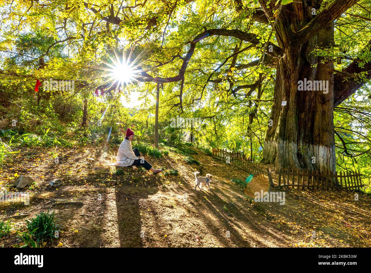 CHONGQING, CHINA - NOVEMBER 4, 2022 - A tourist rests under a thousand ...