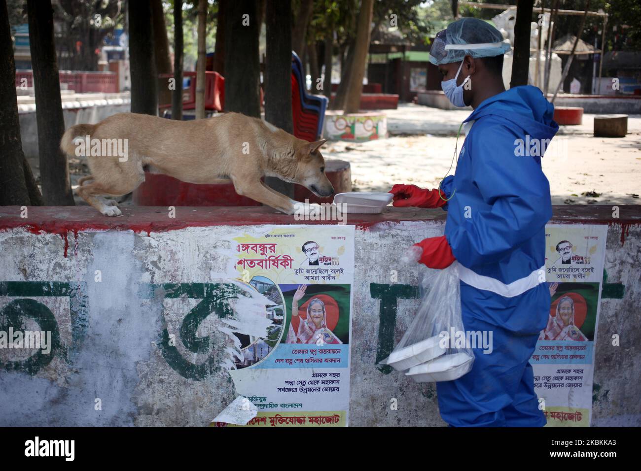 Volunteers of the Bidyanondo Foundation feed street dogs amid corona ...