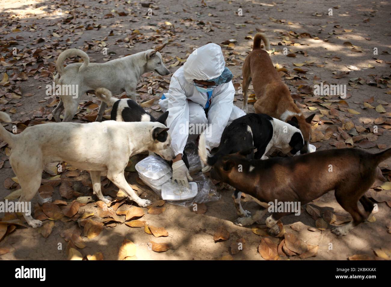 Bidyanondo hi-res stock photography and images - Alamy