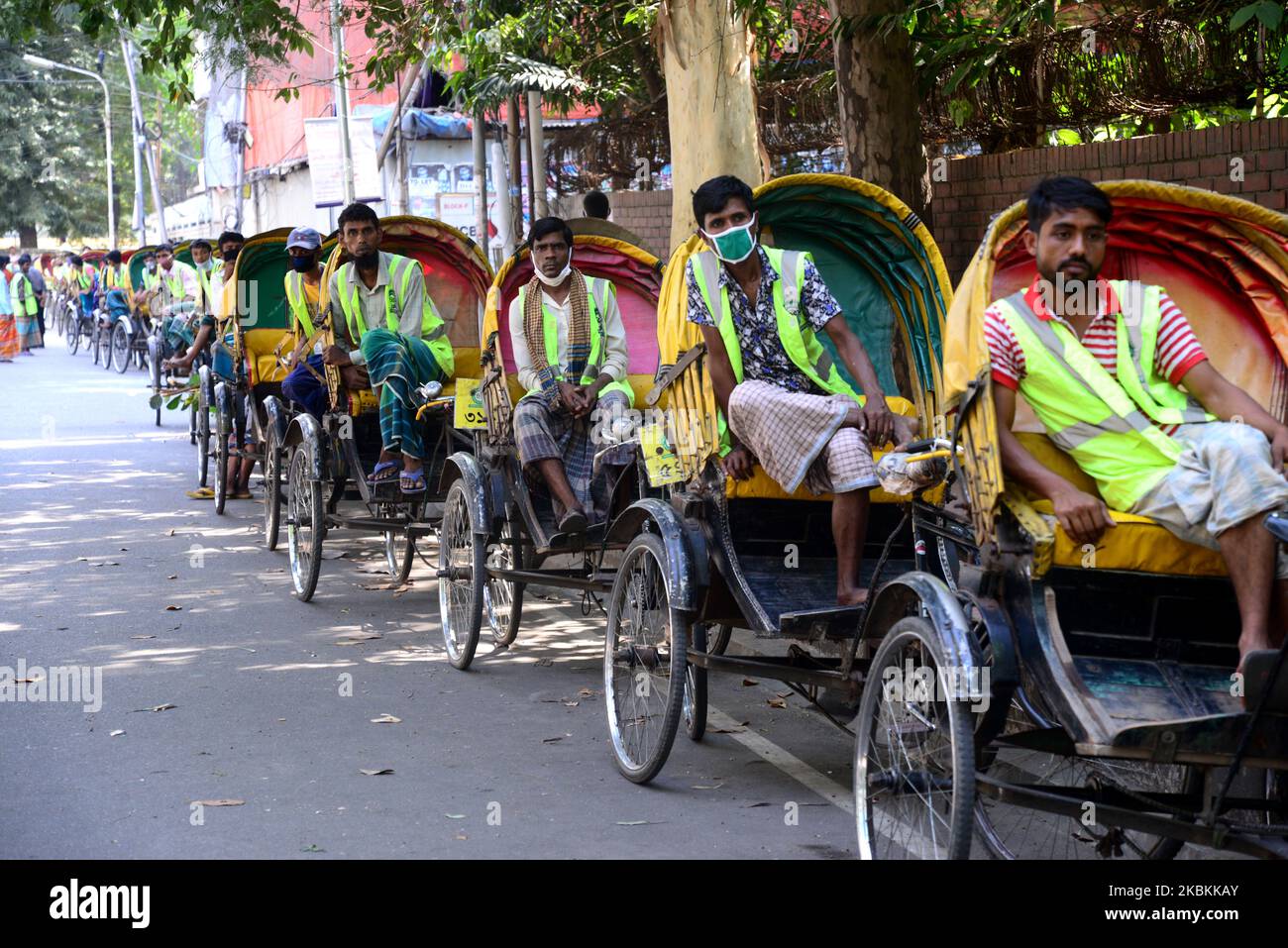 Bangladeshi street dogs hi-res stock photography and images - Alamy
