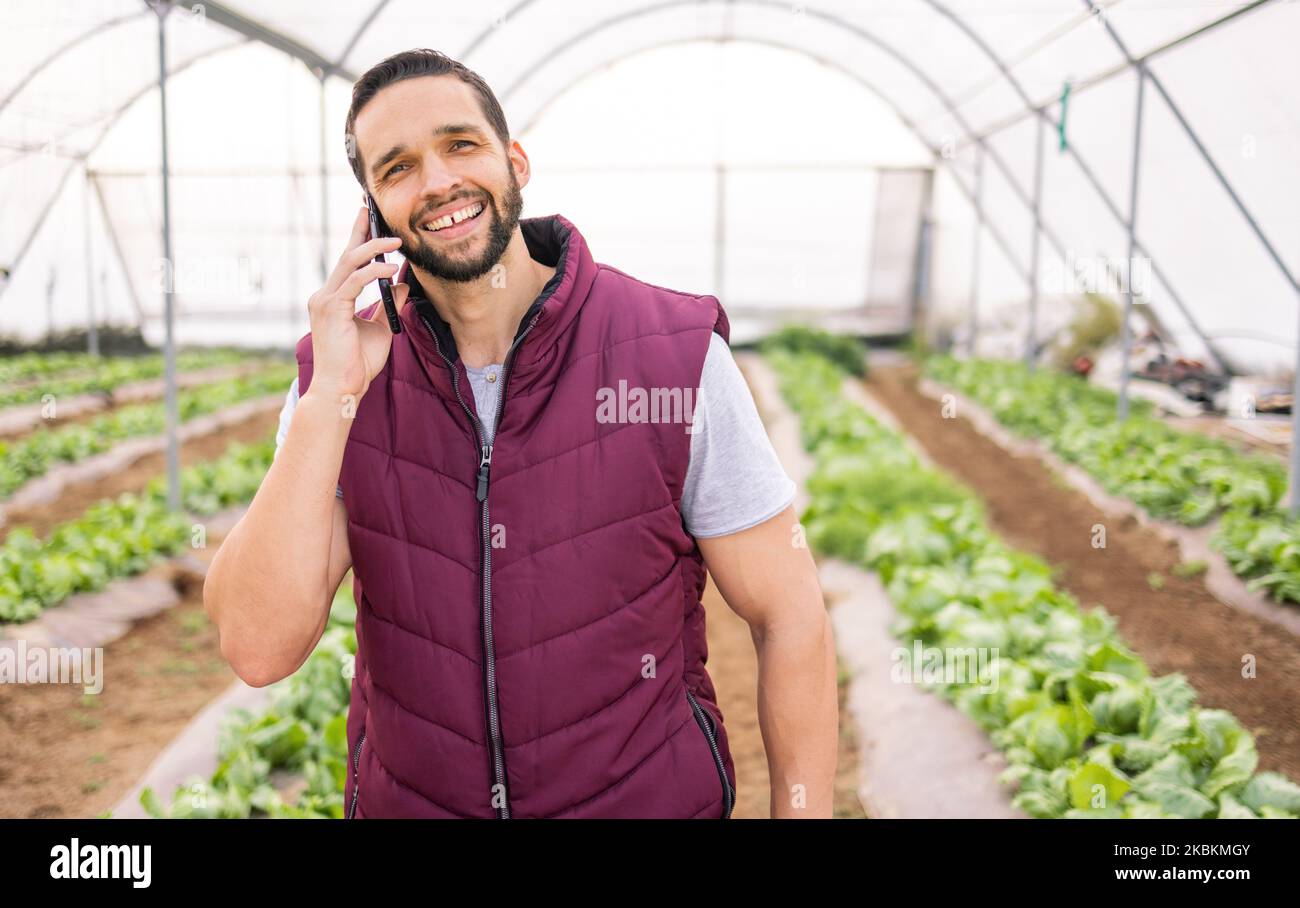 Greenhouse, phone call and man on agriculture farm talking, discussion ...
