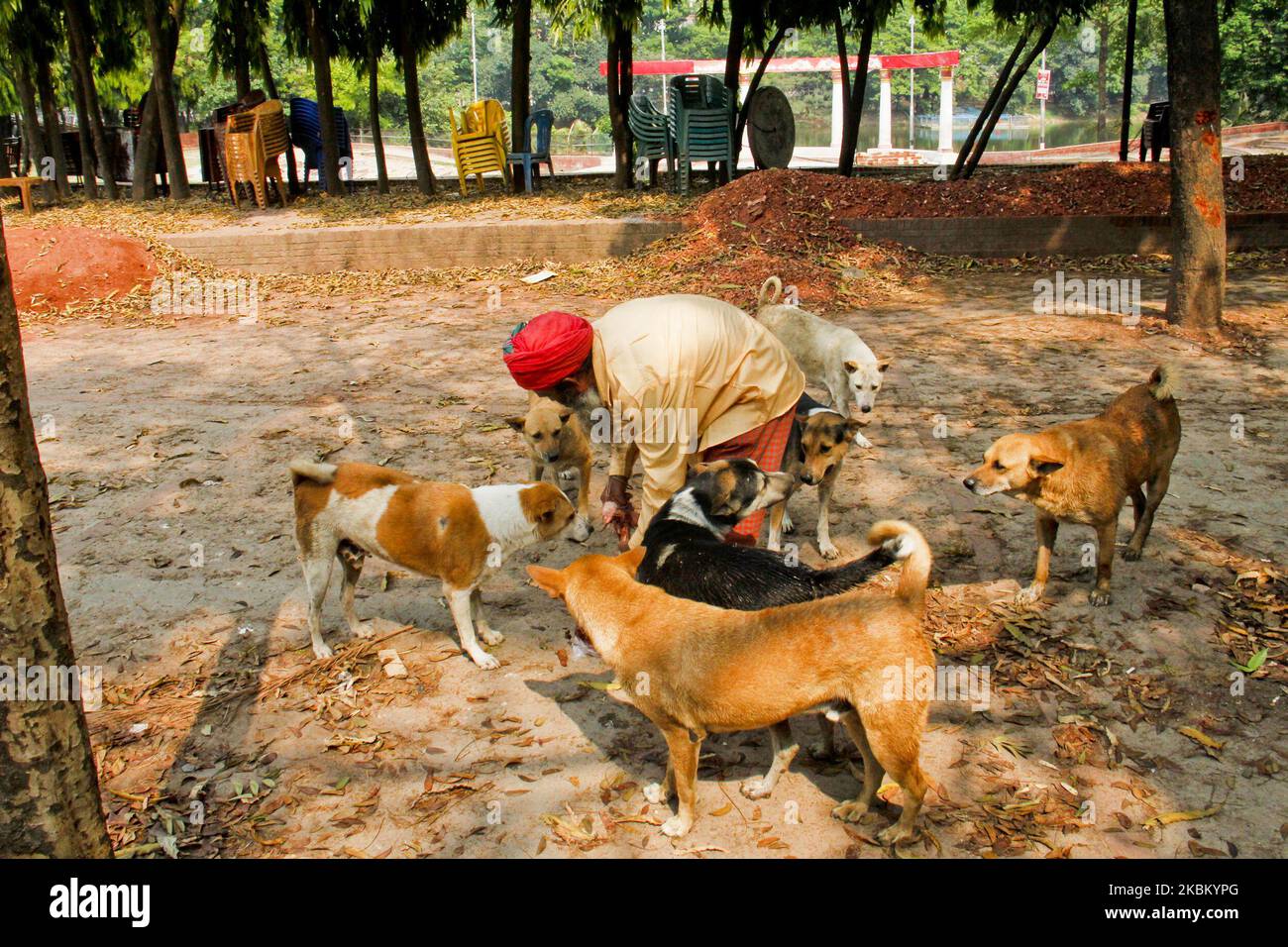 Poor animals hi-res stock photography and images - Alamy