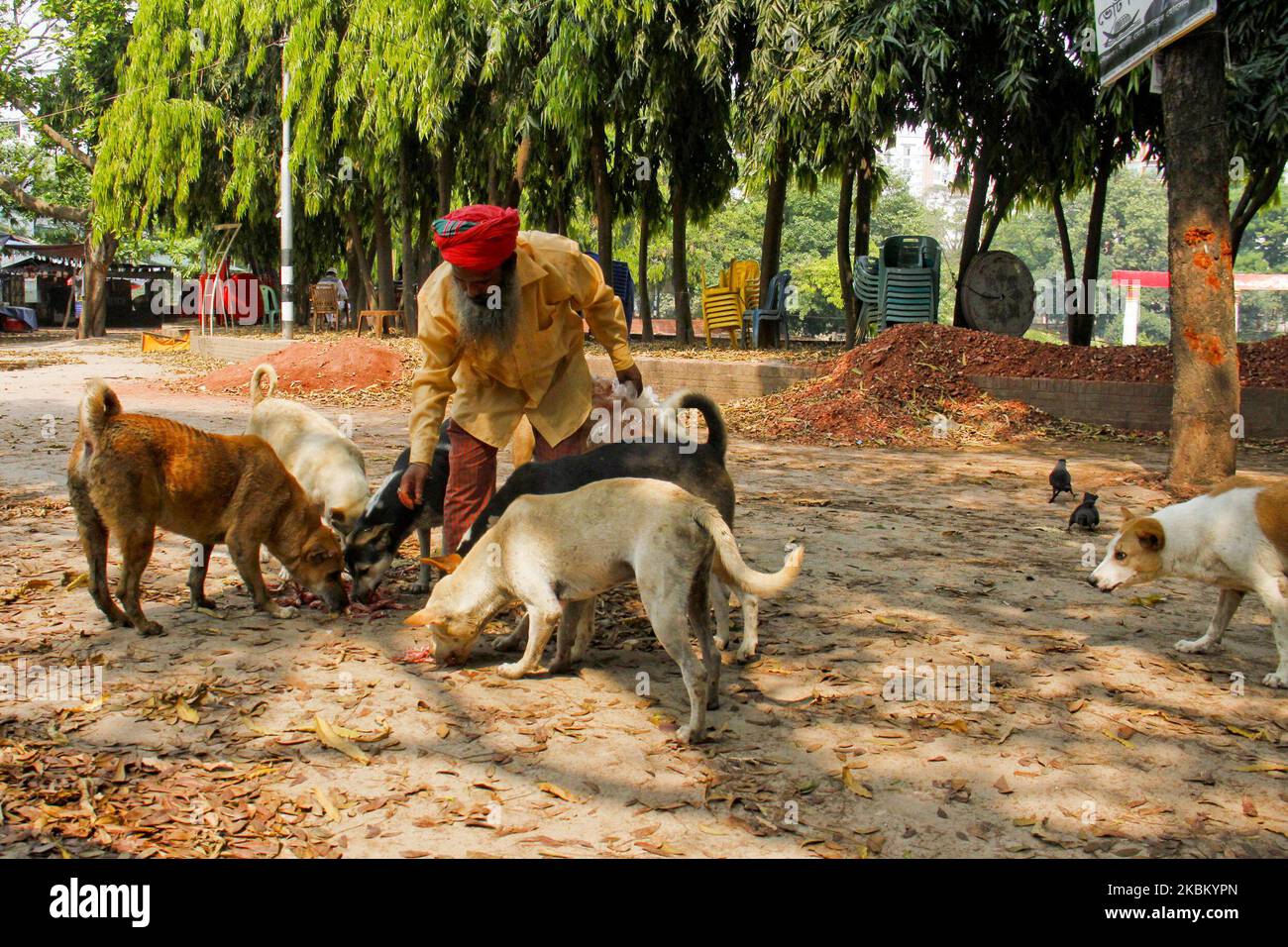 Poor animals hi-res stock photography and images - Alamy