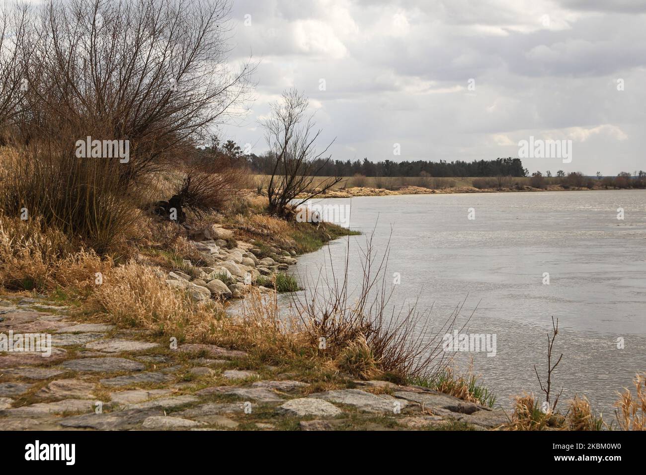 Trees and bushes at the Vistula (Wisla) river bank are seen in Biala ...