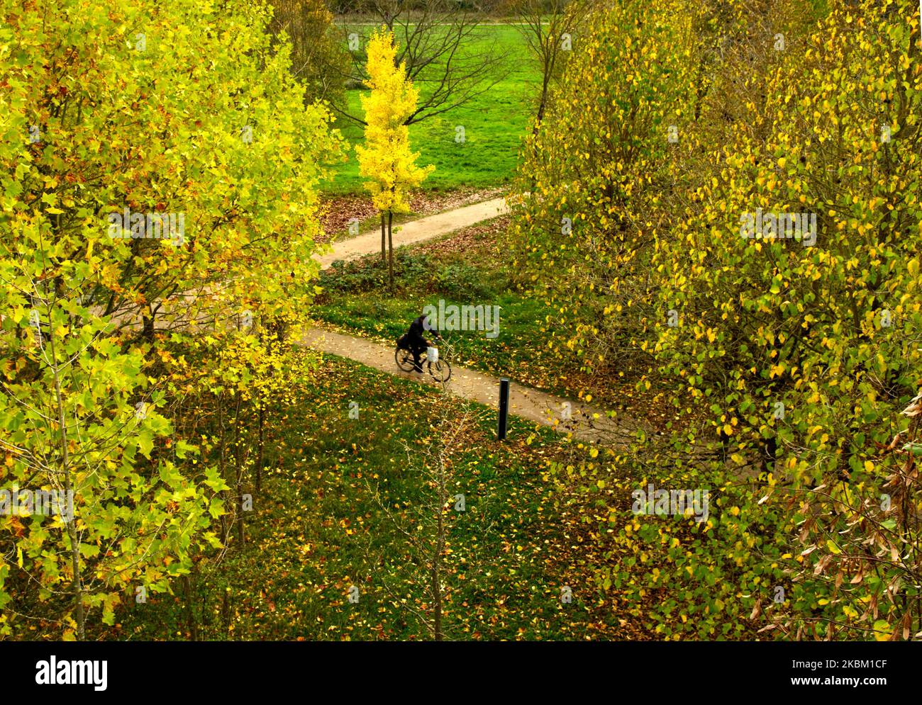 bird's eye view of cross roads in an autumnal urban park and a lone ...