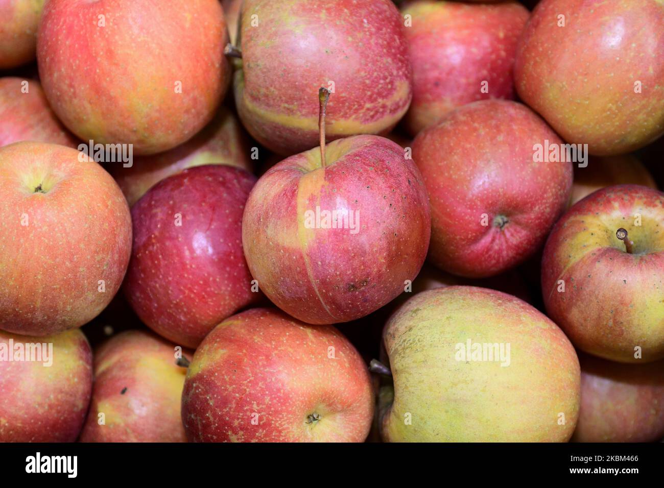 Community supportedagriculture hi-res stock photography and images - Alamy