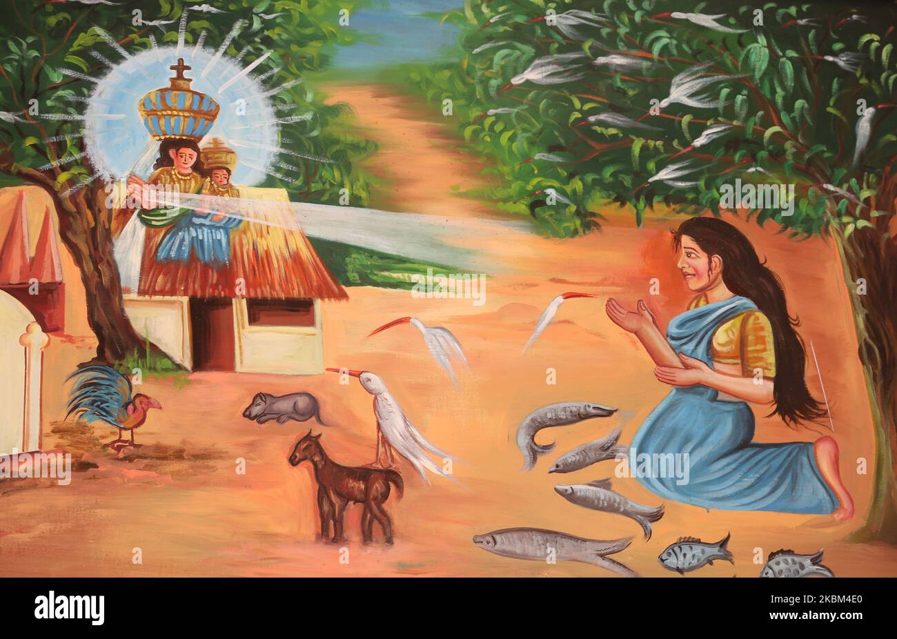 Here they are fed by a shepherd photo hi-res stock photography and ...