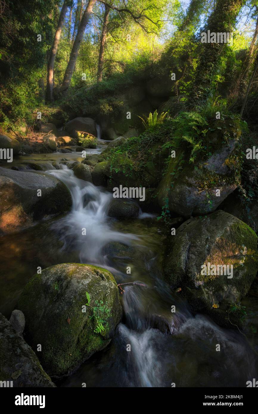 River with water in motion inside a forest Stock Photo - Alamy