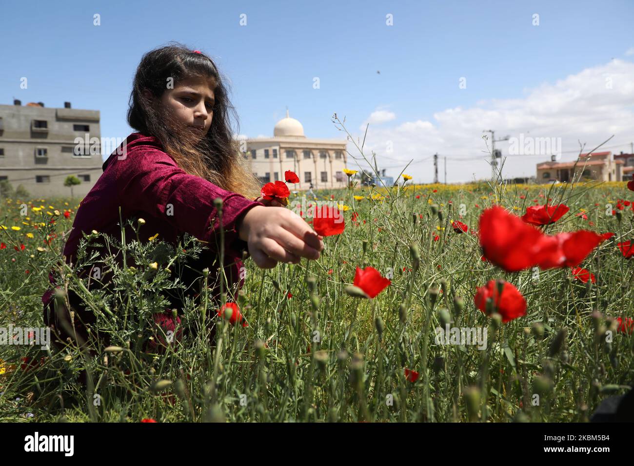 Gaza stripon hi-res stock photography and images - Alamy