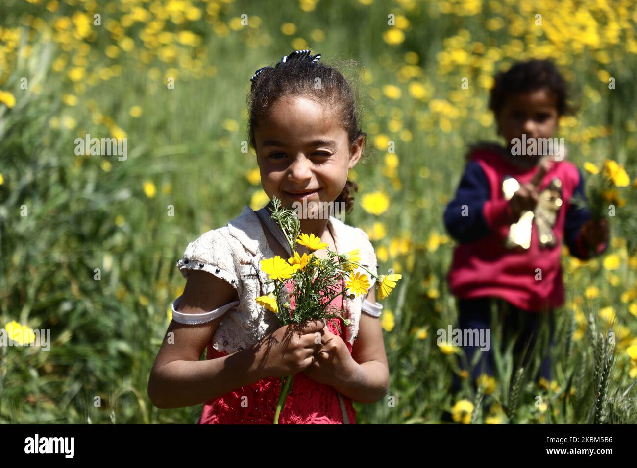 Southern gaza stripon hi-res stock photography and images - Alamy