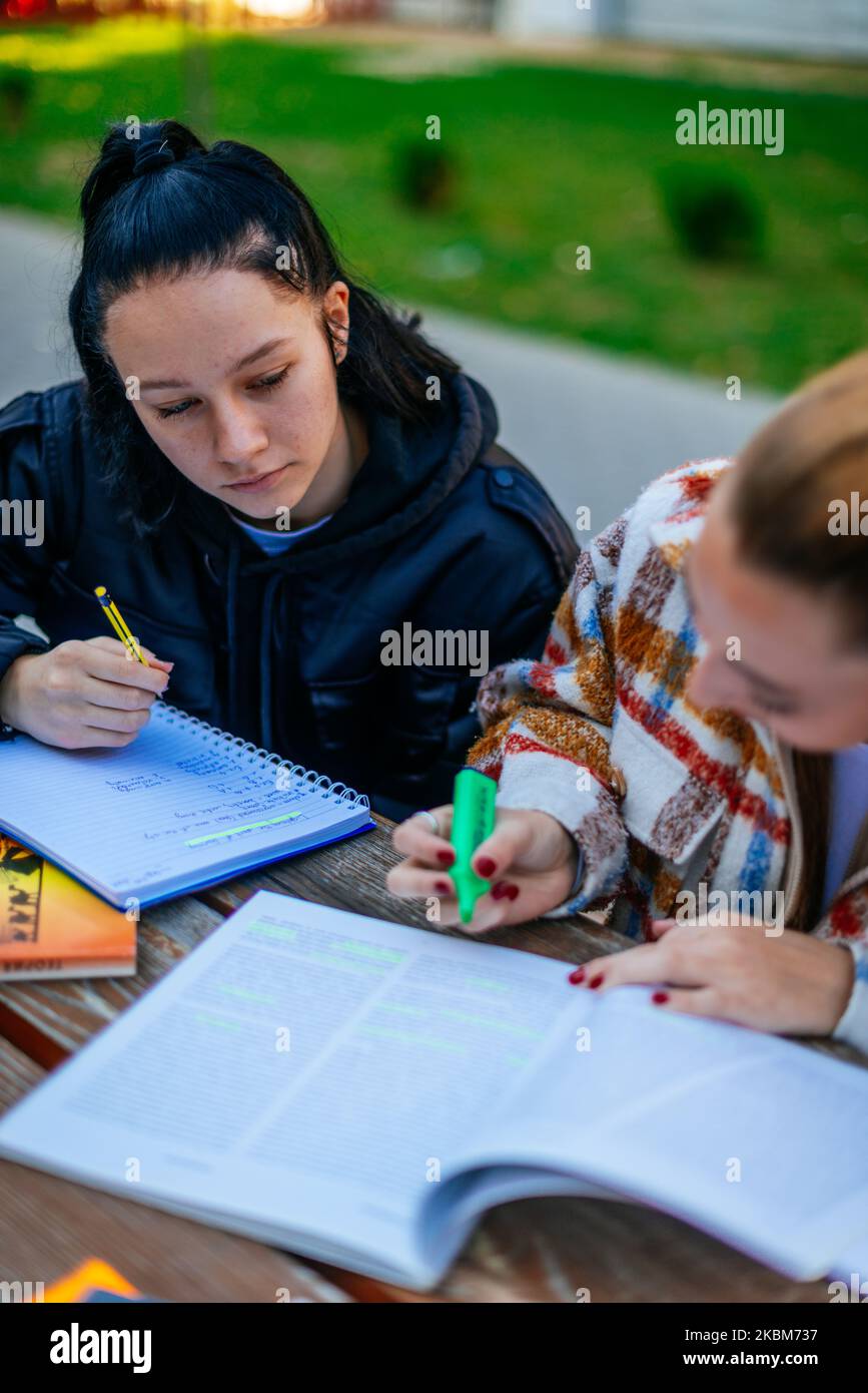 Two high school girls are revising their lectures before the exam Stock ...