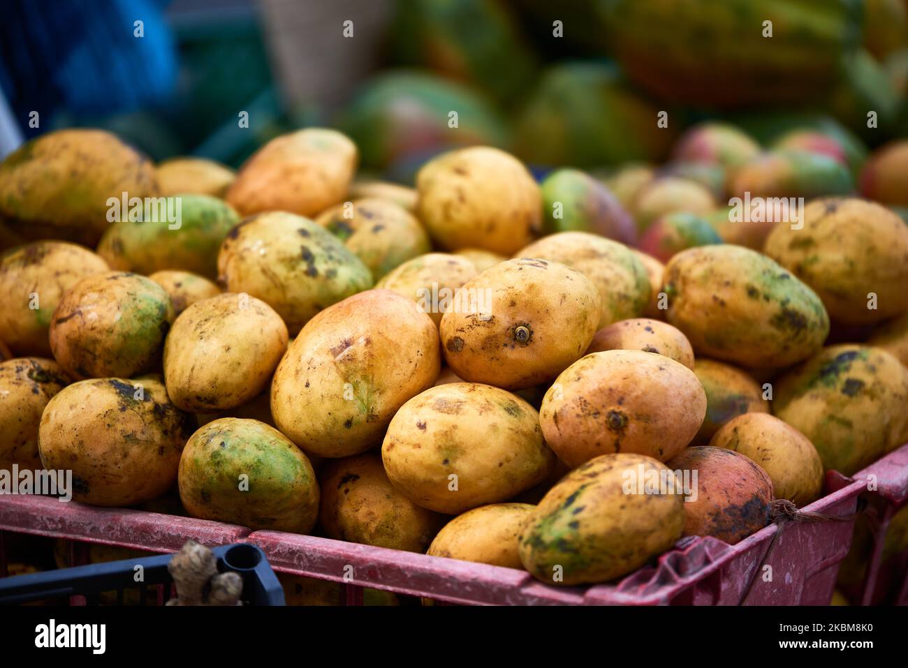 Tropical Fruits, Panama City, Republic of Panama, Central America ...