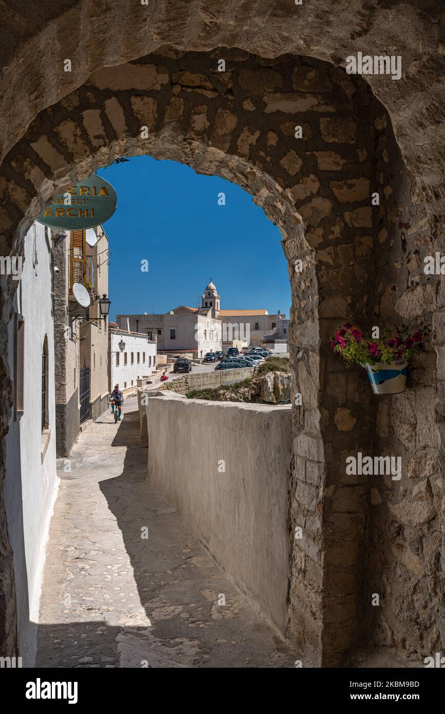 From the covered passage of via Ripe the Rettoria di San Francesco ...