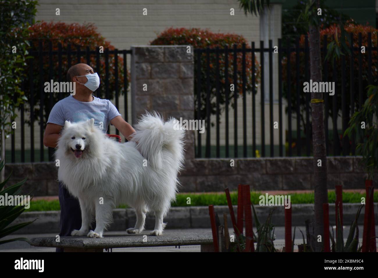 Colombian police dog hi-res stock photography and images - Alamy