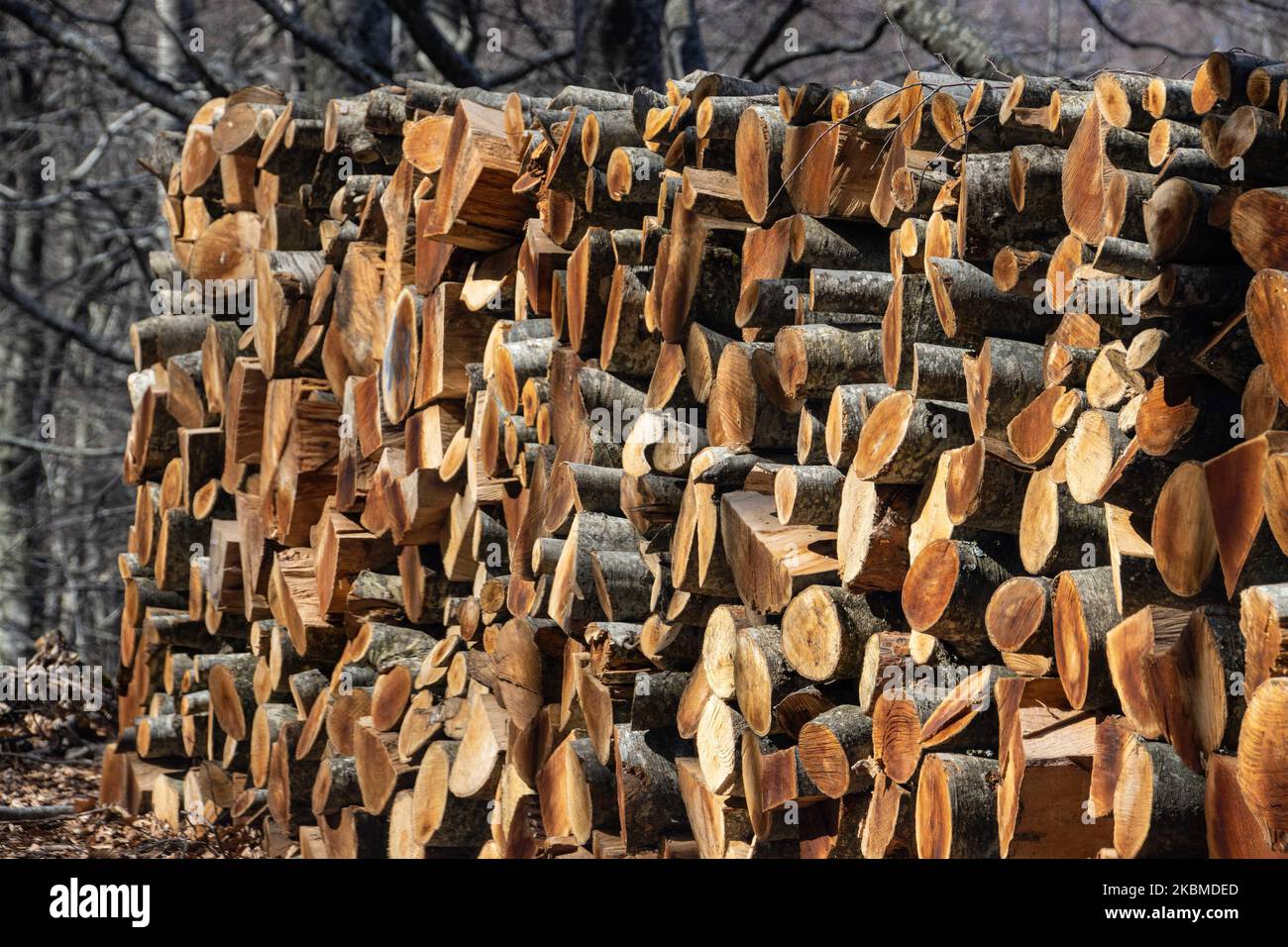 Cultural heritage of ancient thrace hi-res stock photography and images ...