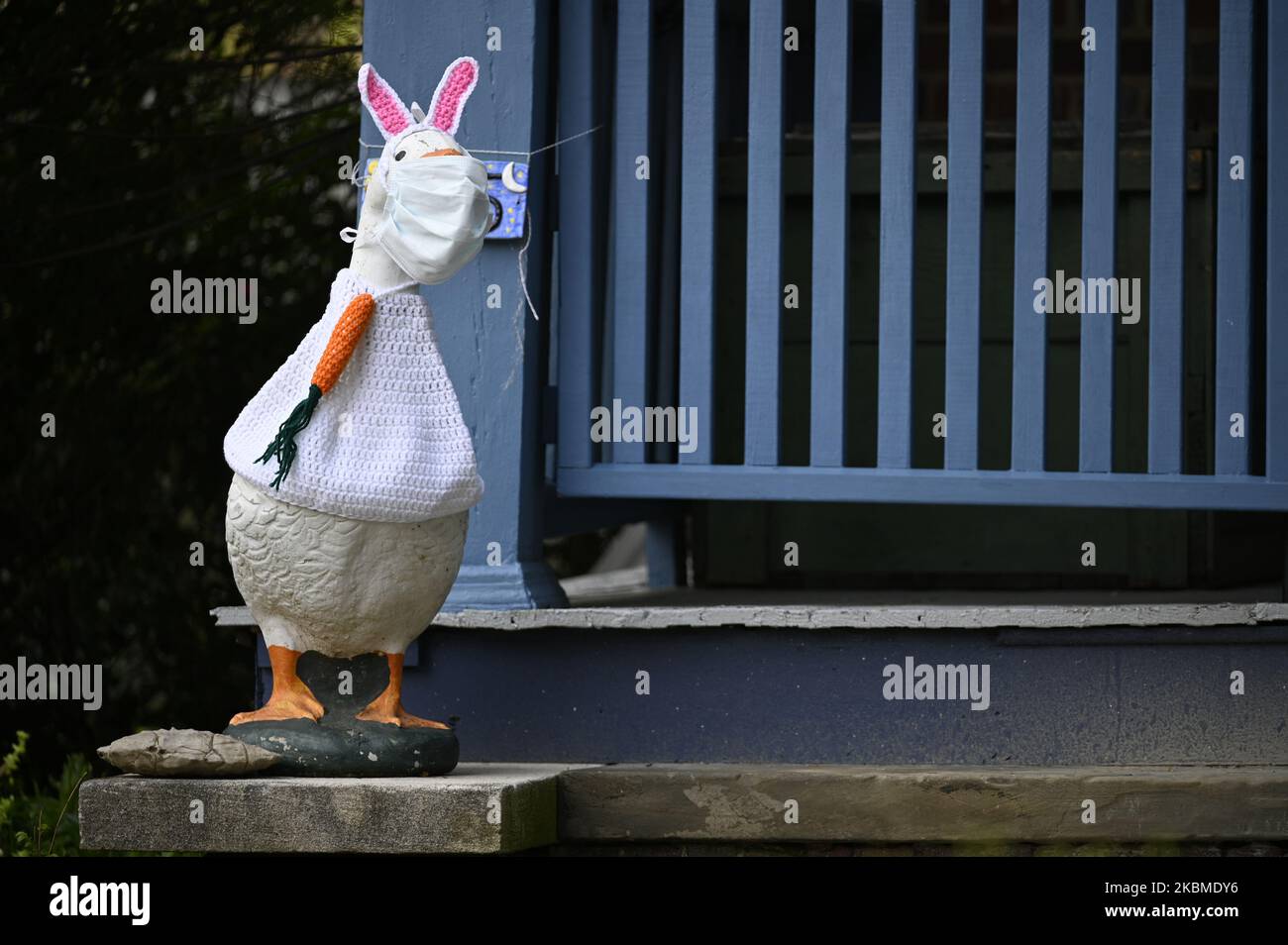 Decorative goose, donning Eastern-themed knitwear and PPE face-mask ...